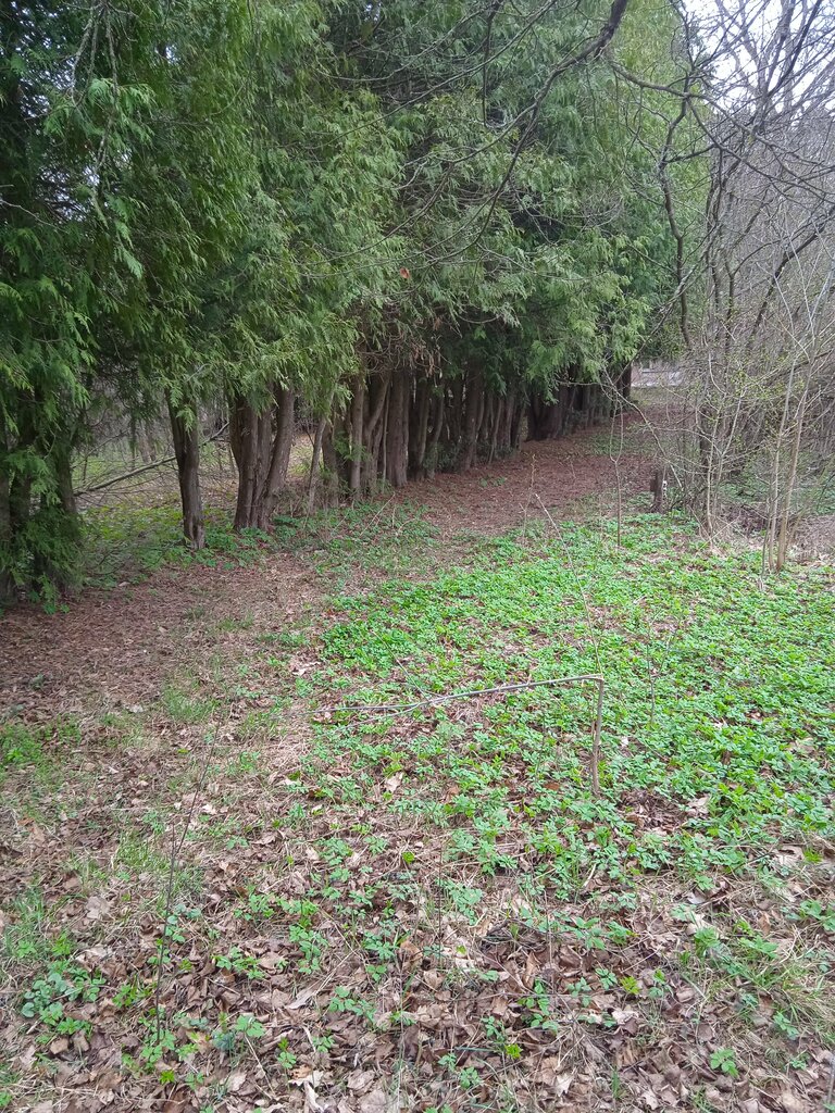 Turistik yerler Усадьба Лукашевичей, Vitebskaya oblastı, foto