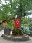 Obaalacami Mahalle Muhtarlığı (Obaalacami Mah. 07400 Alanya Antalya), muhtarlıklar  Alanya'dan