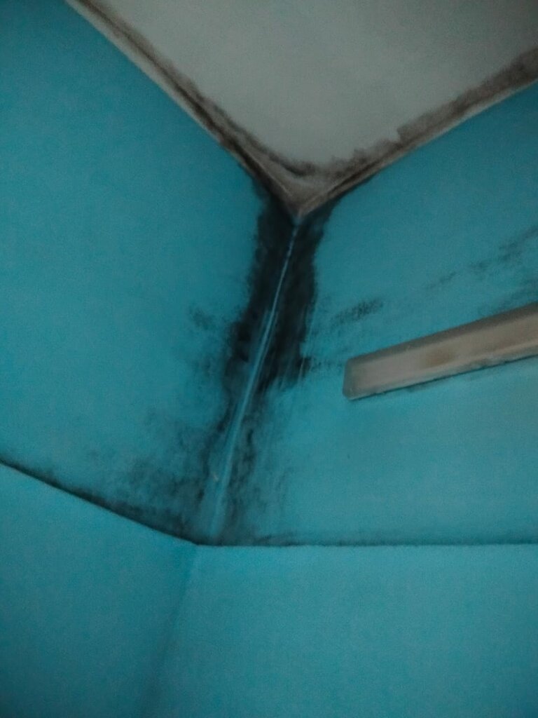 Ortaokul Средняя общеобразовательная школа № 2, Altayski krayı, foto