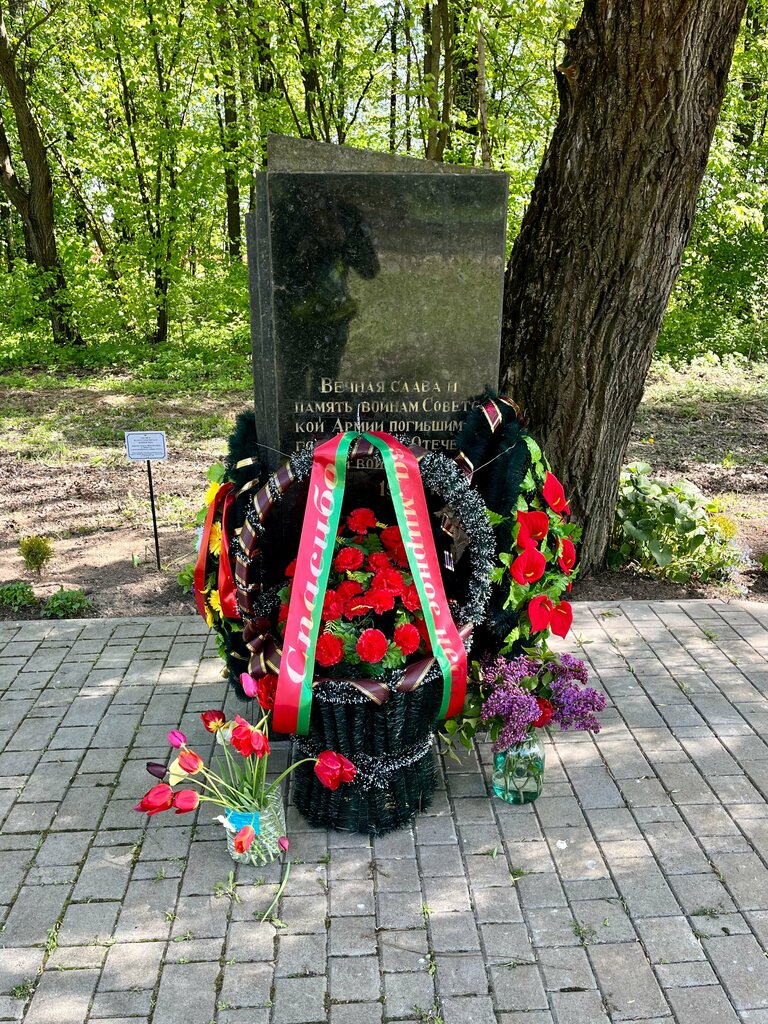 Anıt, heykel Советским воинам, Minskaya oblastı, foto