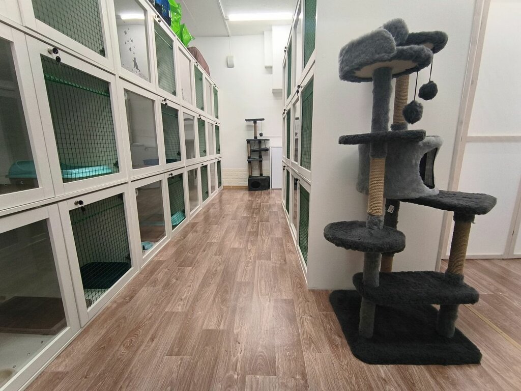 Pet otel Гостиница для животных, Krasnodar, foto