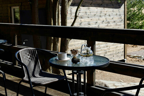 Restoran Ели в Лесу, Saint‑Petersburg ve Leningradskaya oblastı, foto