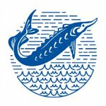 Mansurovskoe rybovodnoye khozyaystvo (No:уч5, derevnya Alekseyevka), balık çiftçiliği ve toptancıları  Moskova ve Moskovskaya oblastından