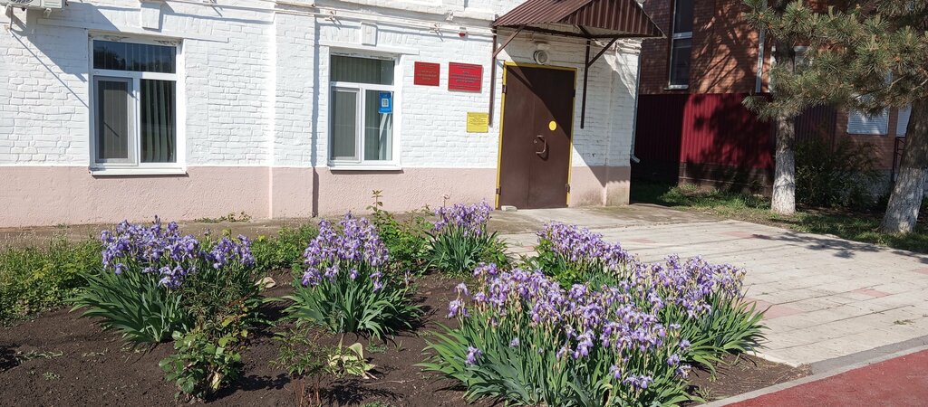Kütüphaneler Biblioteka im. S. A. Koroleva, Tsentralnaya, Mezhposelencheskaya, Muk, Rostovskaya oblastı, foto