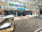Архангельский центр социальной помощи семье и детям (Uritskogo Street No:47), sosyal yardım kuruluşları  Arhangelsk'ten