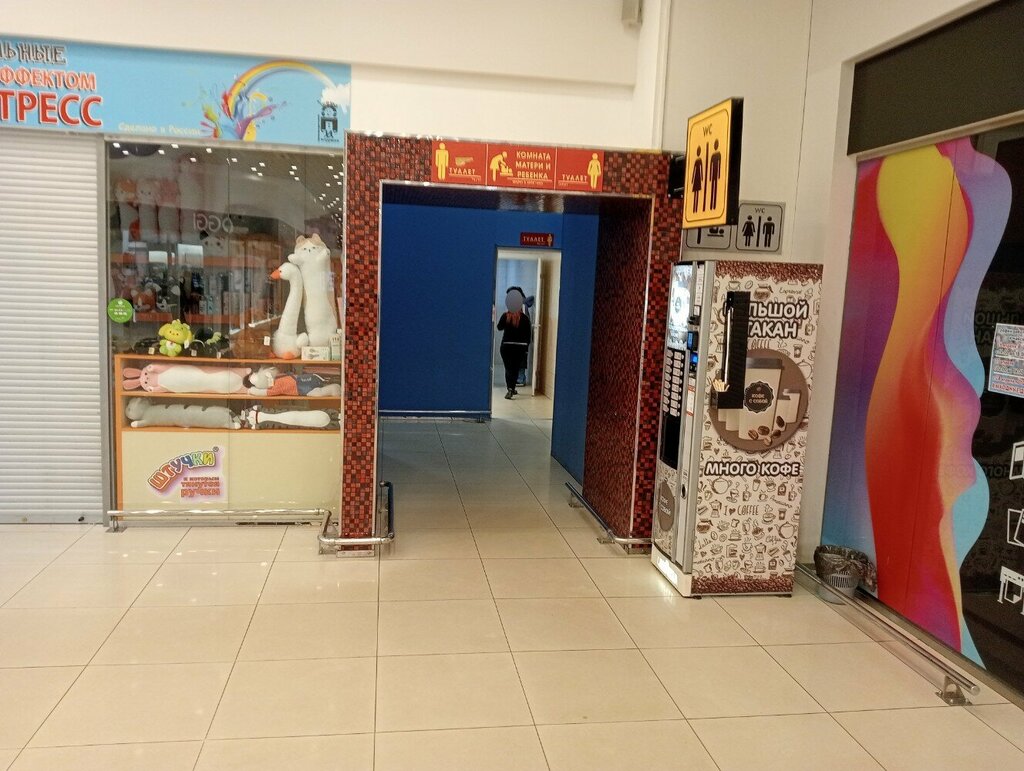 Engelliler için tuvalet Toilet for the disabled, Kolpino, foto