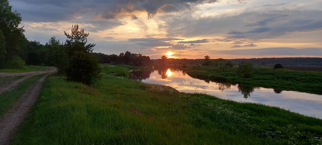 Piknik alanı Место для пикника, Moskova ve Moskovskaya oblastı, foto