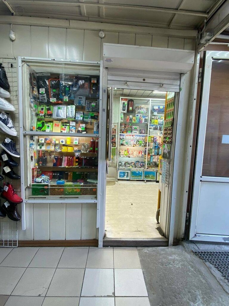 Güvenlik ve alarm sistemleri Binelektronik, Kemerovo, foto