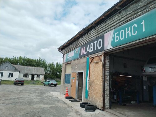 Otomobil servisi M. Avto, Riazanskaya oblastı, foto