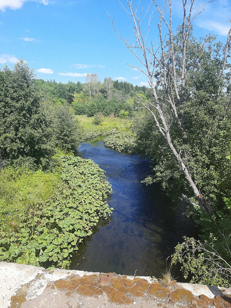 Turistik yerler Мост грустного дедушки, Permski krayı, foto