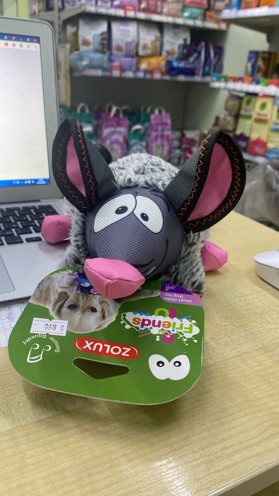 Petshop Арго, Moskova, foto