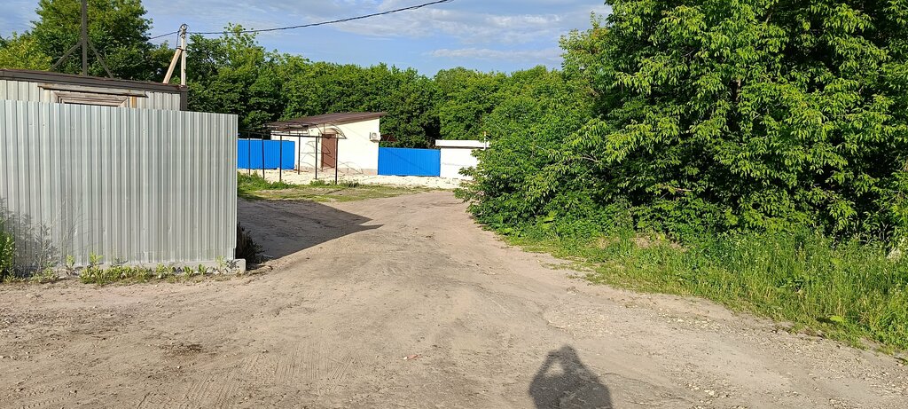 Çöp alanları Trash and garbage disposal area, Spas‑Klepiki, foto