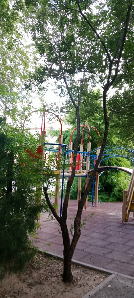 Oyun alanı Playground, Volgograd, foto