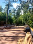 Площадка для отдыха (Moscow Region, Leninskiy City District, Vidnovskiy Forest Park), tatil altyapısı  Moskova ve Moskovskaya oblastından