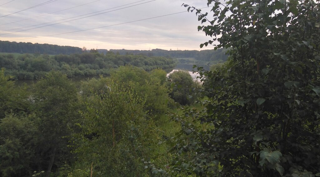 Belediyeler, devlet daireleri Правление СНТ Здоровье, Novosibirskaya oblastı, foto