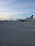 Anadolujet (İstanbul, Pendik, Sanayi Mah., Havaalanı İç Yolu, 1), seyahat acenteleri  İstanbul'dan