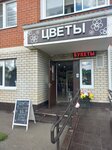 Цветы (ulitsa Mechnikova No:1, posyolok Progress, posyolok Beryozovy), çiçekçiler  Krasnodarski krayından