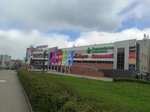 Цветы (Kholmogorov Street No:11), çiçekçiler  Izhevsk'ten