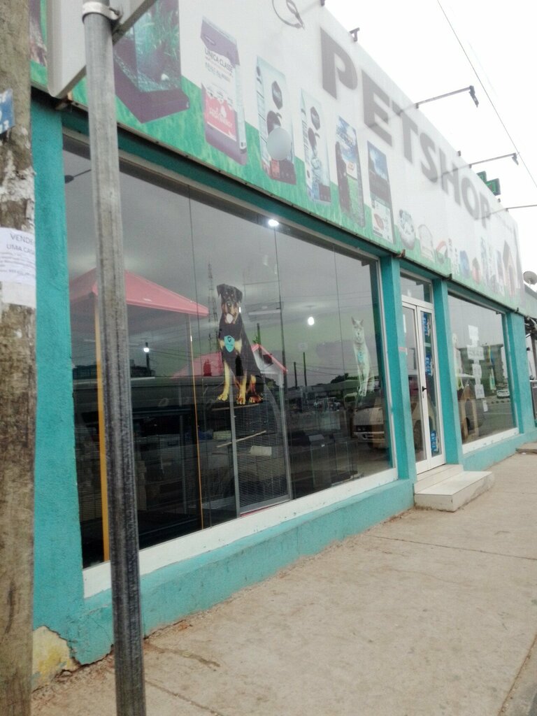Petshop Pet shop, Loanda, foto