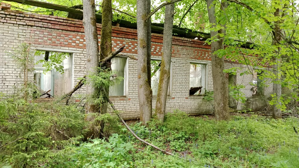 Yaz kampı Детский оздоровительный лагерь Орлёнок, Moskova ve Moskovskaya oblastı, foto