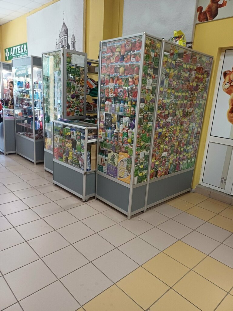 Tohum satan yerler Семена, Yelets, foto