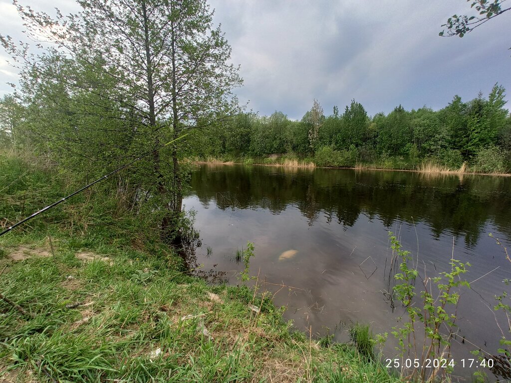 Plaj Пляж, Saint‑Petersburg ve Leningradskaya oblastı, foto