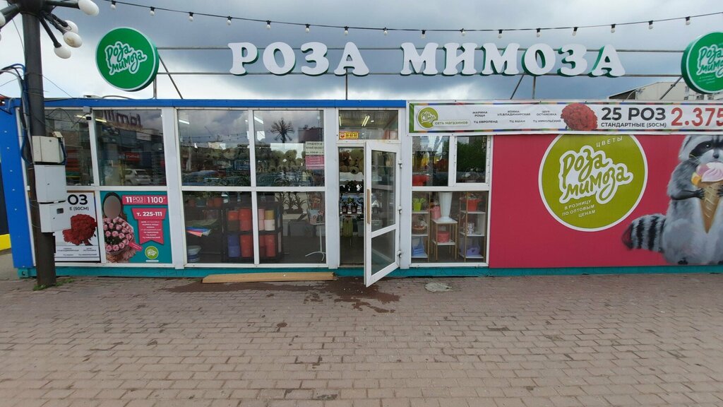 Çiçekçiler Роза мимоза, İvanovo, foto