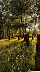 Пасека (Republic of Bashkortostan, Ufa, zhiloy rayon Zelyonaya Roshcha), hayvancılık  Ufa'dan
