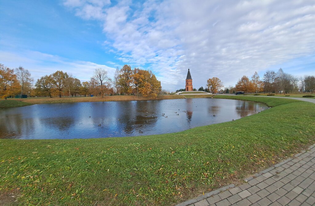 Doğa 120-летний дуб, Mogiliovskaya oblastı, foto