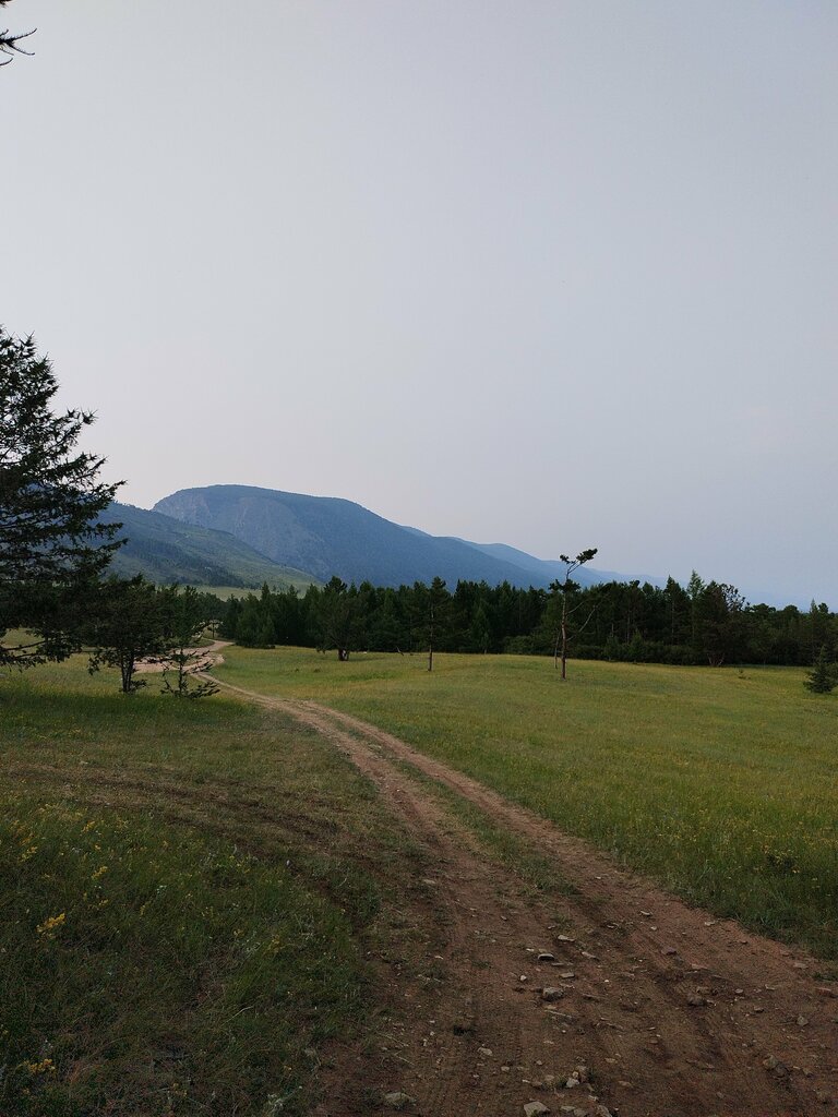 Pınar, çay Серебряный источник, İrkutskaya oblastı, foto