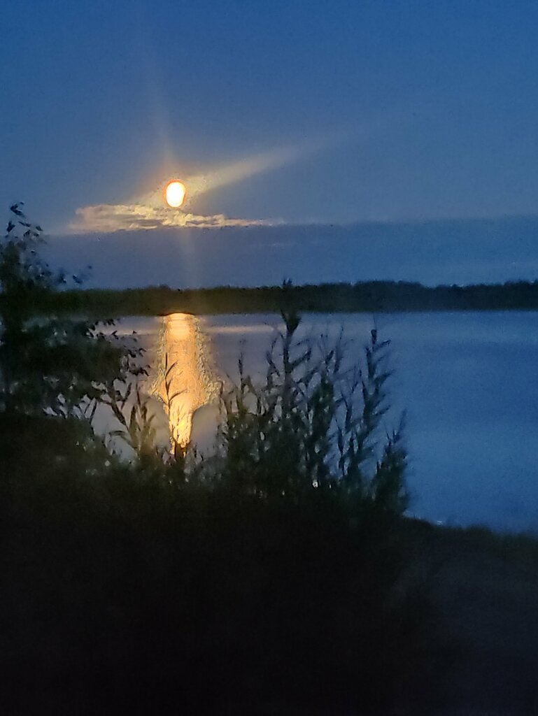 Otel Гостевой дом Камский Бегемот, Permski krayı, foto