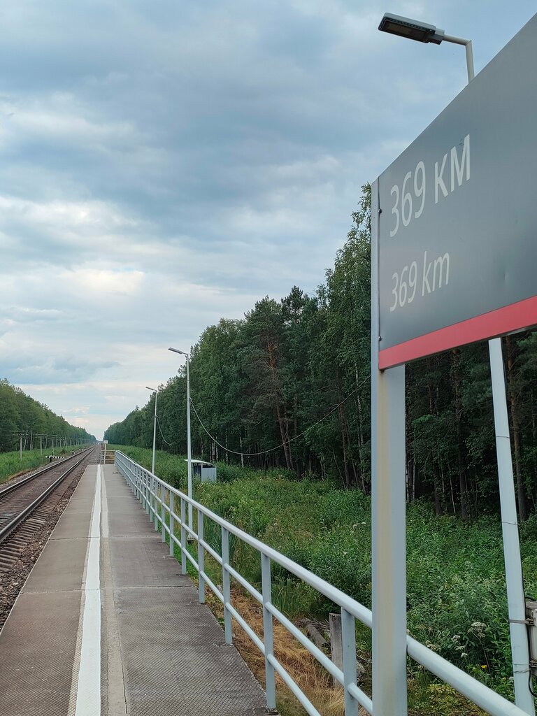 Tren istasyonu 369 км, Arhangelskaya oblastı, foto