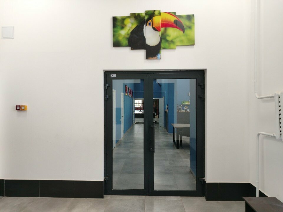 Spor kulüpleri Jungle Bjj, Kirov, foto