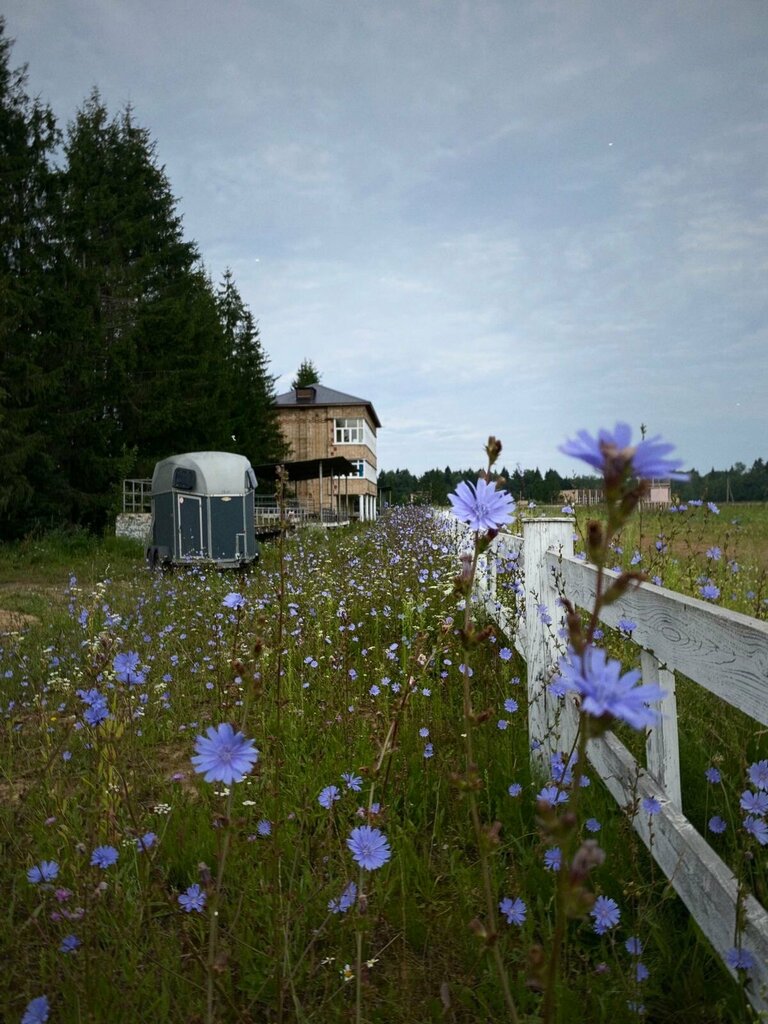 Otel Гостиница Акз, Smolenskaya oblastı, foto