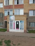 Internet Services Store (No:9, Lesnaıa Polána shaǵyn aýdany, Qosshy), fotokopi dükkanları  Akmola eyaletinden