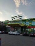Zelenyy rynok (ulitsa Yu. Klykova No:87Б), giyim pazarı  Elista'dan