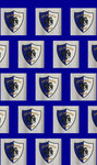 Erzurumspor Store (Rabia Ana Mh., Tebriz Kapı Cd., No: 34, Yakutiye, Erzurum), spor mağazaları  Erzurum'dan