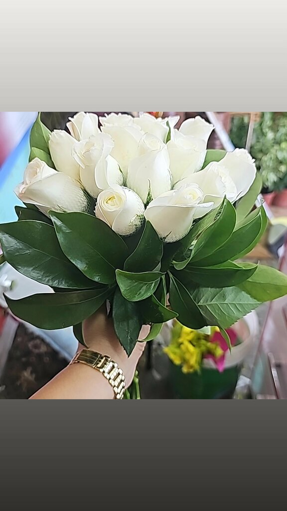 Çiçekçiler Gullar, Buhara, foto