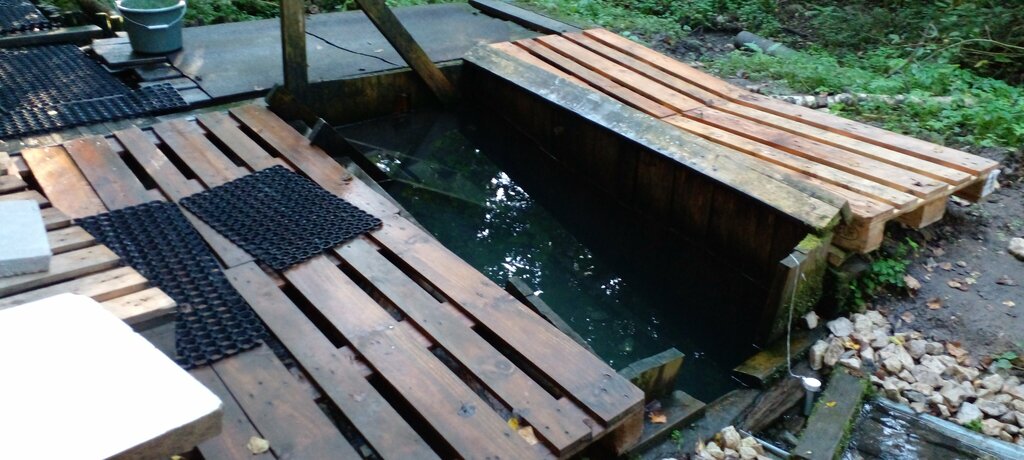 Pınar, çay Spring, stream, Moskova, foto