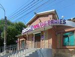 Wildberries (45th Strelkovoy Divizii Street No:204), teslimat noktası  Voronej'den