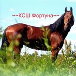 Конно-спортивная школа Фортуна (Perm Territory, munitsipalnoye obrazovaniye Berezniki, Usolye, Preobrazhenskaya ulitsa), at ve binicilik kulüpleri  Usolye'den