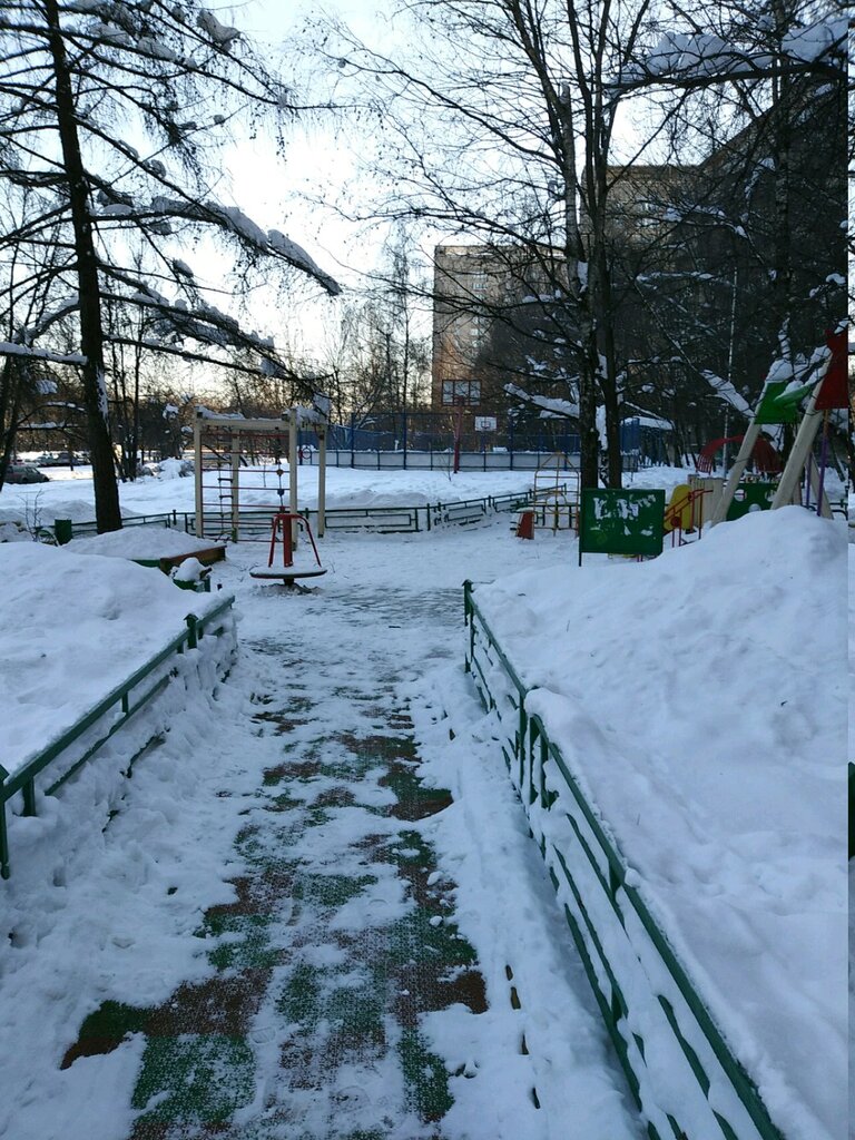 Spor alanı Dvorovaya territoriya, Moskova, foto