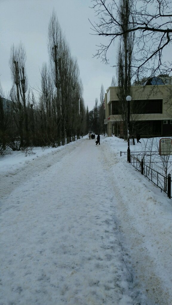 Meydan Бульвар Жукова, Voronej, foto