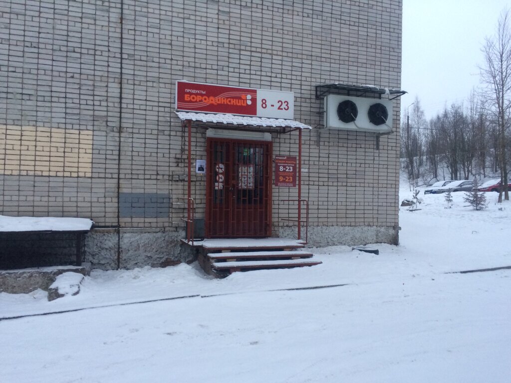 Süpermarket Бородинский, Petrozavodsk, foto