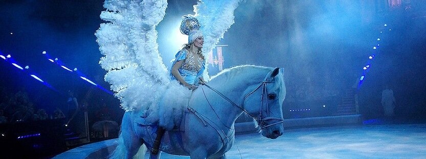 Dış giyim mağazası Snezhnaya Koroleva, Moskova, foto