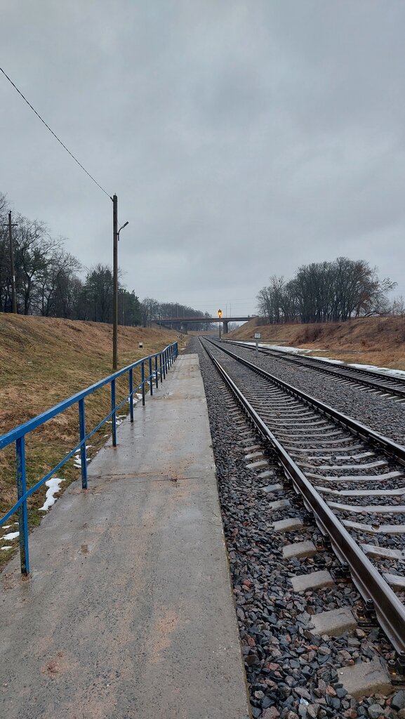 Tren istasyonu Prypynačny punkt Dziednava, Bobruisk, foto
