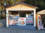 Свежевыжатые соки (Krasnodar Territory, Sochi, Dendrary Park Cable-Way), vitamin bar  Soçi'den