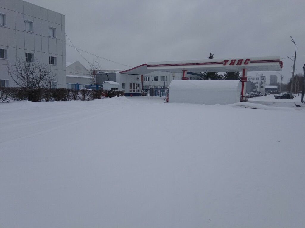 Benzin istasyonu Tolyatti-Nefteprodukt-Servis, Tolyatti (Togliatti), foto