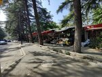 Цветочный рынок (Tbilisi, Universitetis Street), çiçek pazarı  Tiflis'ten