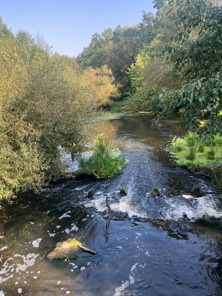 Şelale Перекат, Marjina Gorka, foto